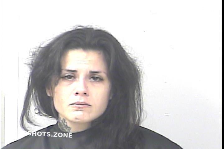 AKIN CHEYENNE SWAN 11/07/2024 - St. Lucie County Mugshots Zone