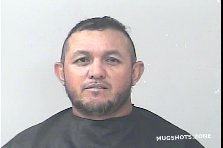 LICEA RAYA ROBERTO FIDEL 11/09/2024 - St. Lucie County Mugshots Zone