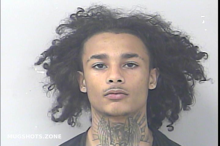 ROBINSON GREG L 03/25/2025 - St. Lucie County Mugshots Zone