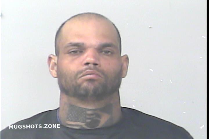 COSTA CAVALIERI ALISON 04/22/2025 - St. Lucie County Mugshots Zone