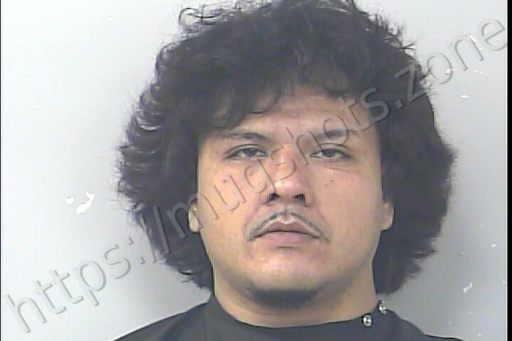 LICEA FERNANDEZ DAVID L 03/24/2026 - St. Lucie County Mugshots Zone