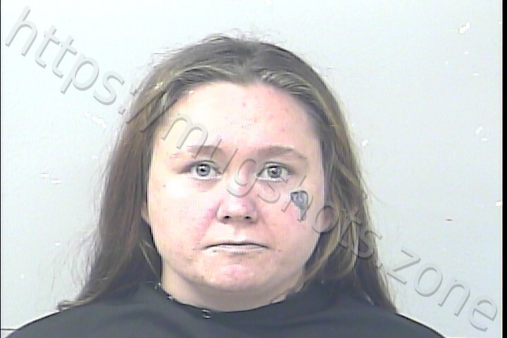 STINSON ERIKA STORM 03/30/2026 - St. Lucie County Mugshots Zone