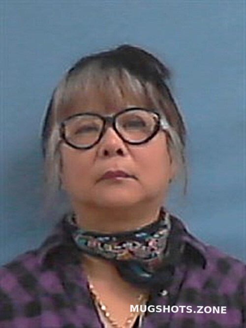 SHAN YOU HONG 11/10/2024 - Stone County Mugshots Zone