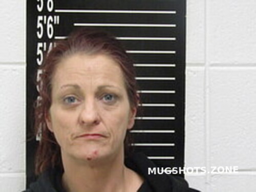 CARLA NICOLE APPERSON 03/11/2021 - Stone County Mugshots Zone