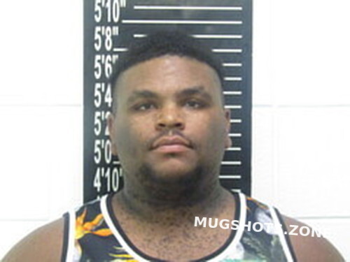 TRAVIS SAMUEL BURT 08/19/2021 - Stone County Mugshots Zone