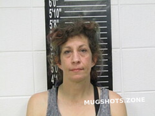 STACI LYNN DYE 02/10/2022 - Stone County Mugshots Zone