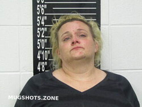 CHRISTA LYN JOHNSON 02/21/2022 - Stone County Mugshots Zone