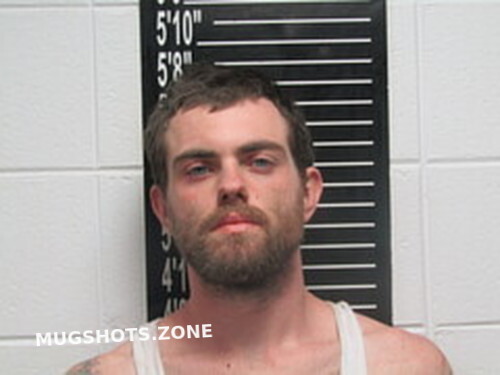 BRANDON CADE WINDER 03/29/2022 - Stone County Mugshots Zone