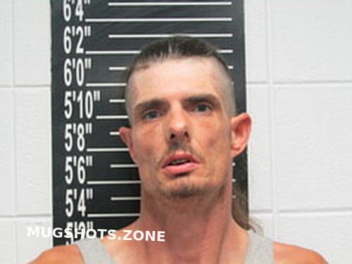 BRIAN ALLEN DAVIS 06/20/2022 - Stone County Mugshots Zone