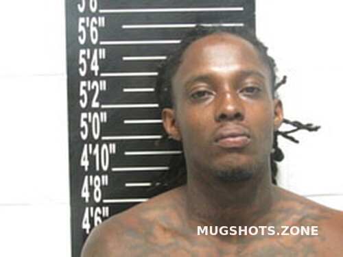 TERRY NAPOLEON JAMISON 06/28/2022 - Stone County Mugshots Zone