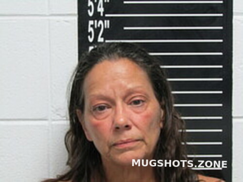 MELINDA RENAE MARTIN 07/24/2022 - Stone County Mugshots Zone