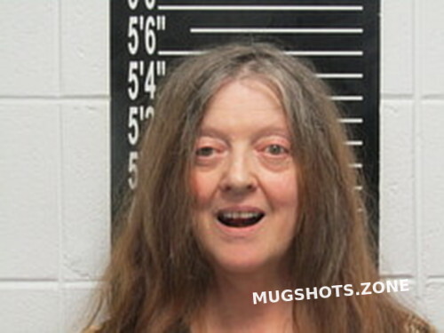 SANDRA KAY DAVIS 12/02/2022 - Stone County Mugshots Zone