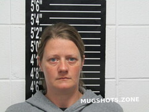 PEGGY ANN CRAWFORD 02/13/2023 - Stone County Mugshots Zone