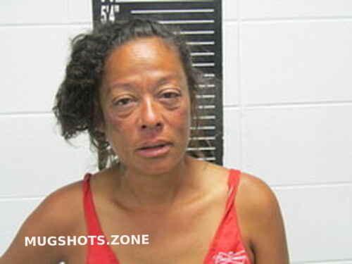 MINDY RENEE STILES 06/24/2023 - Stone County Mugshots Zone