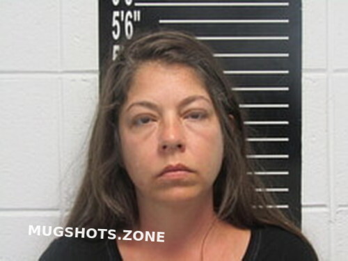 MEGHAN ANNE MCDONALD 08/26/2023 - Stone County Mugshots Zone