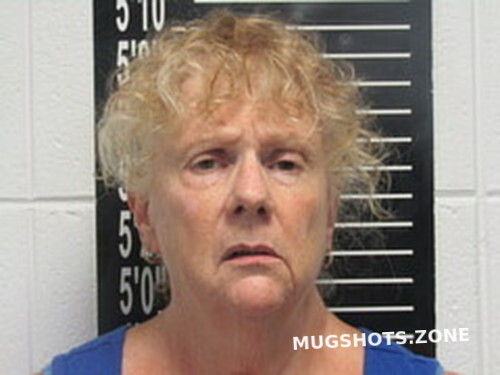 SUSAN CAROLE SAVARD 08/28/2023 - Stone County Mugshots Zone