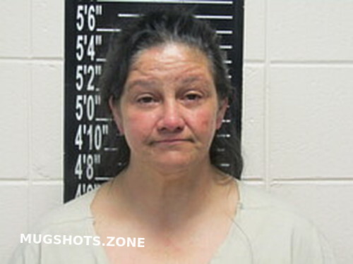 JESSICA DESIREE MCVAY 02/28/2024 - Stone County Mugshots Zone
