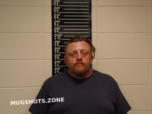 JAMIE LEE DAVIS 04/09/2024 - Stone County Mugshots Zone