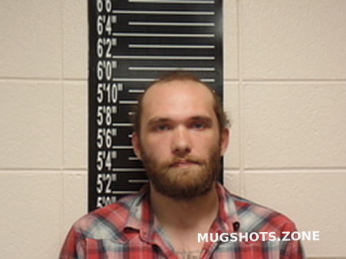 ALEXANDER MARTIN LEE WILLIS 06/04/2024 - Stone County Mugshots Zone