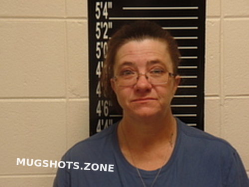 CHRISTINE RENEE FLETCHER 09/24/2024 - Stone County Mugshots Zone