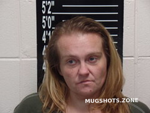 LIBBY ANN REIDLE 11/13/2024 - Stone County Mugshots Zone
