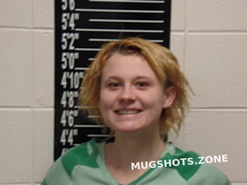 CHEYENNE RENEE HICKS 01/07/2025 - Stone County Mugshots Zone