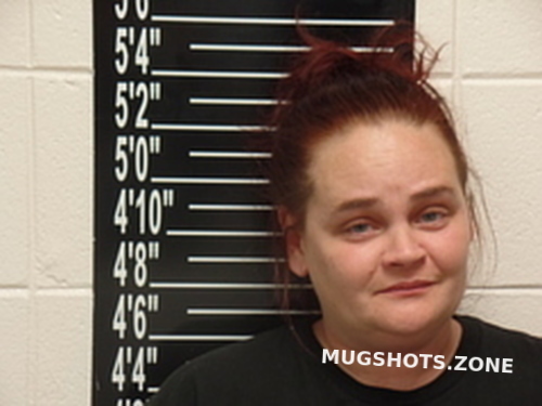 JACQUELINE DENISE BURK 01/29/2025 - Stone County Mugshots Zone