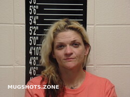 CRYSTAL DAWN ADAMSON 02/02/2025 - Stone County Mugshots Zone