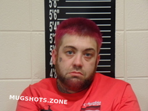 TRAVIS WAYNE WOOLSEY 04/09/2025 - Stone County Mugshots Zone
