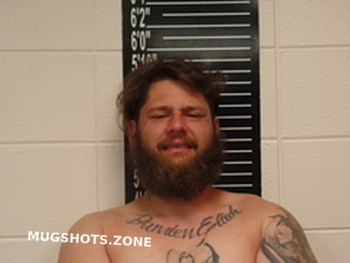 PATRICK MICHAEL REYNOLDS 05/04/2025 - Stone County Mugshots Zone