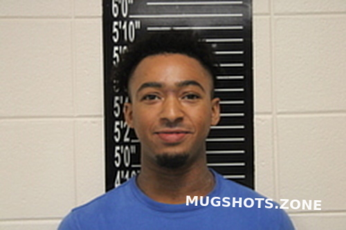 DAVID SHAWN WHITE 09/02/2025 - Stone County Mugshots Zone