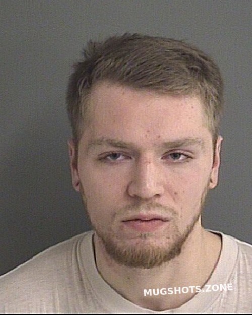 LEE MAXWELL LEWIS 01/16/2021 - Story County Mugshots Zone