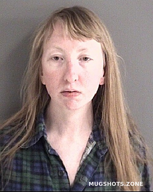 JOHNSON LYDIA MARIE 04/18/2022 - Story County Mugshots Zone