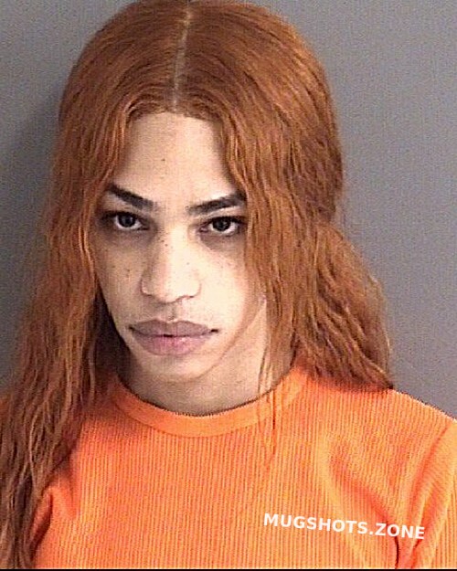 MCCOLLUM CHRISTIAN DANIEL 05/25/2022 - Story County Mugshots Zone