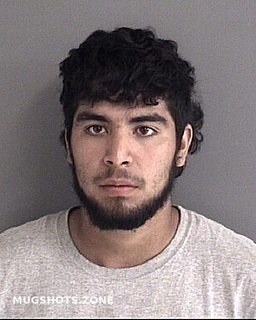 DELGADO-VALDEZ BRIAN MARTIN 08/26/2022 - Story County Mugshots Zone