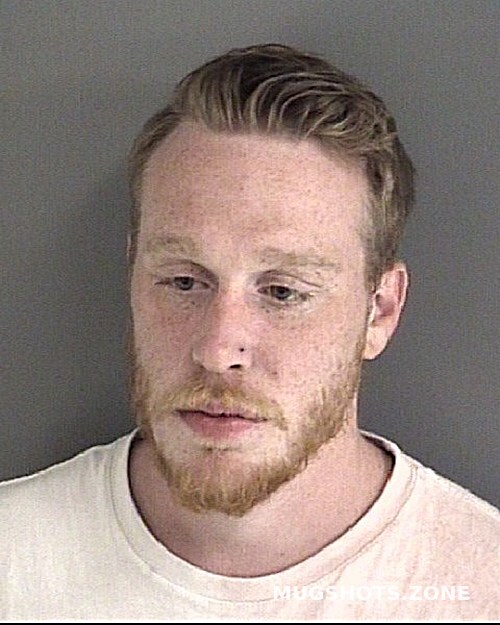 HENRY MICHAEL DILLON 08/31/2022 - Story County Mugshots Zone