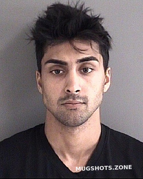 PATEL SHALIN SUDHIR 09/11/2022 - Story County Mugshots Zone