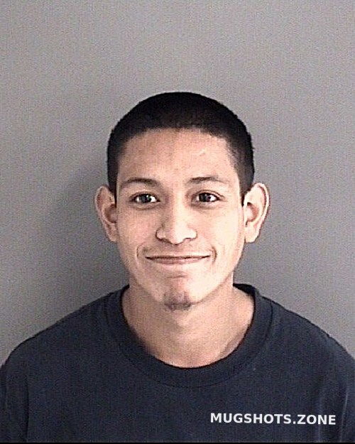 DE LA CRUZ FRANCISCO & 10/12/2022 - Story County Mugshots Zone