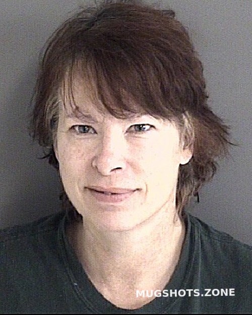 JOHNSON TARA ANNETTE 10/13/2022 - Story County Mugshots Zone