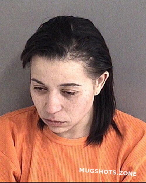 SANDIDGE NATASHA LYNN 12/11/2022 - Story County Mugshots Zone