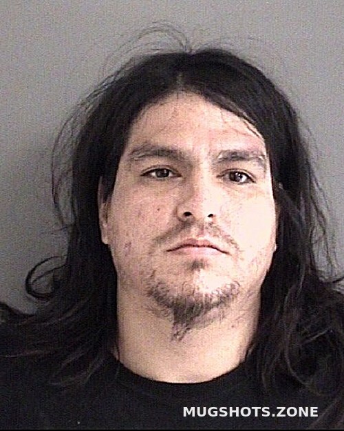 HAYDU WILLIAM PETER 12/11/2022 - Story County Mugshots Zone