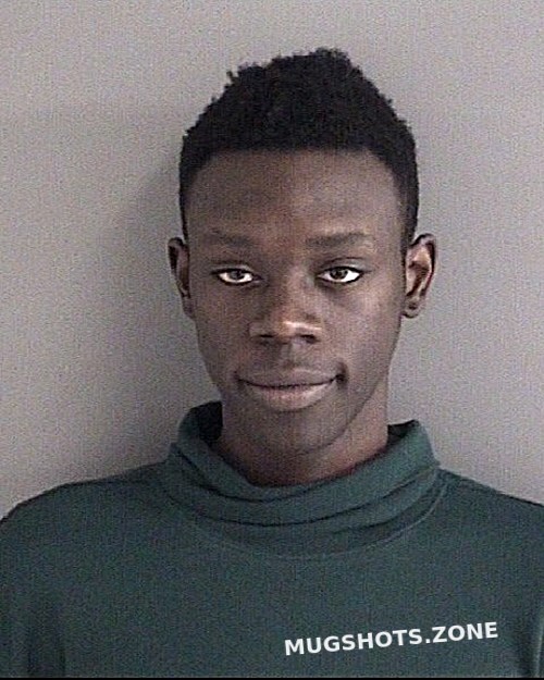 LUETH STEPHEN KON 01/05/2023 - Story County Mugshots Zone