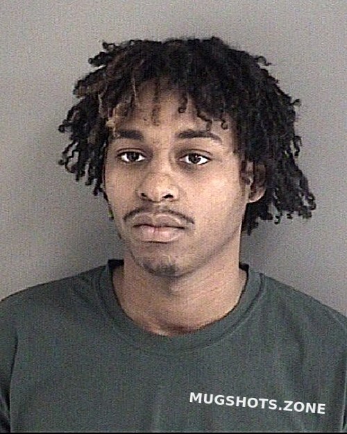 LOUIS CHAD ALLEN 01/24/2023 - Story County Mugshots Zone