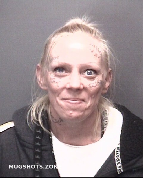 CHAPMAN CATHY MARIE 01/29/2025 - Suffolk Mugshots Zone