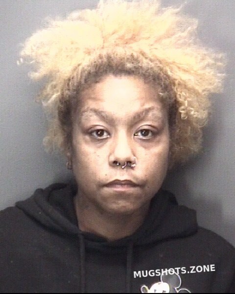 PLAIN KEYONNA NESHIA 04/11/2025 - Suffolk Mugshots Zone