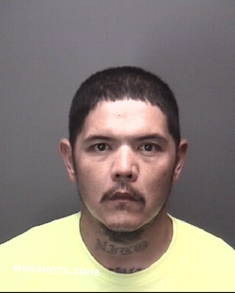 FLIPPO JUSTIN RYAN 06/16/2025 - Suffolk Mugshots Zone