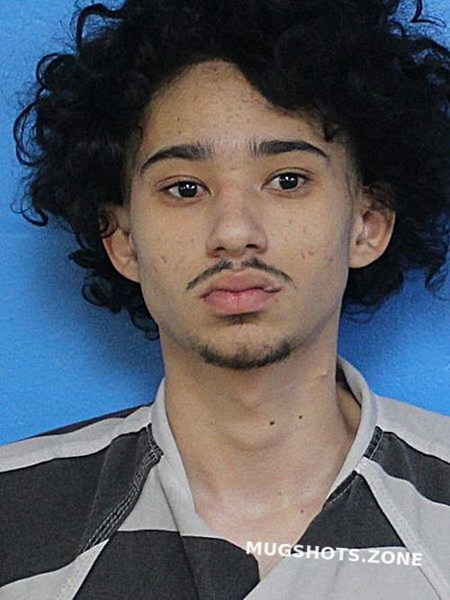 BRICE MICHAEL DASHAWN 01/08/2025 - Sullivan County Mugshots Zone