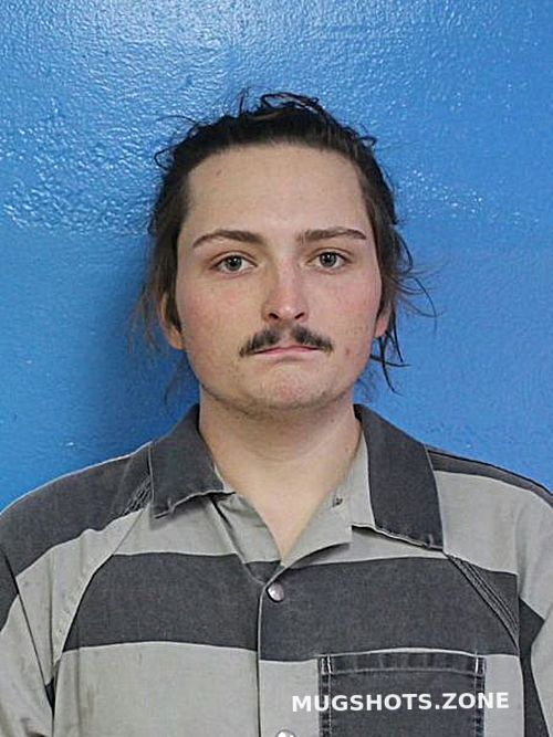 HORNE CAMERON CADE 02/01/2025 - Sullivan County Mugshots Zone
