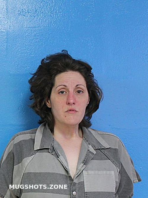 ZIGLER KARIN ANNE 02/01/2025 - Sullivan County Mugshots Zone