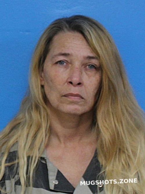 SHUPE CHARLOTTE MICHELLE 03/14/2025 - Sullivan County Mugshots Zone